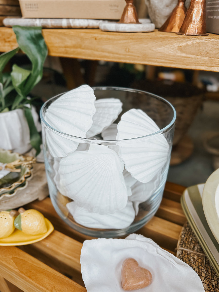 Fran Seashell Sculpture White – Frisky Deer